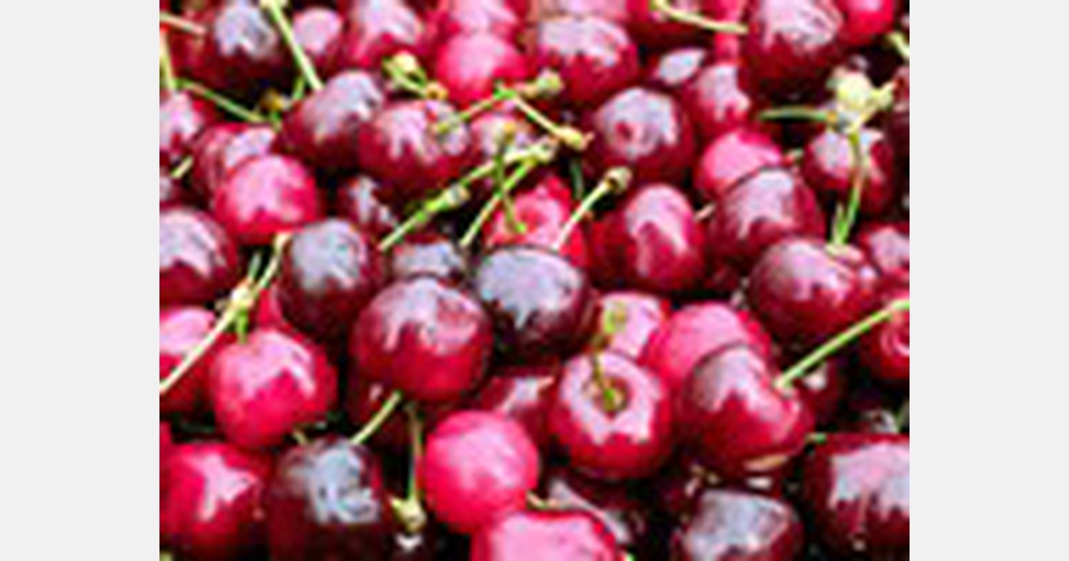 Evergreen to run Cherry Express from mid-December