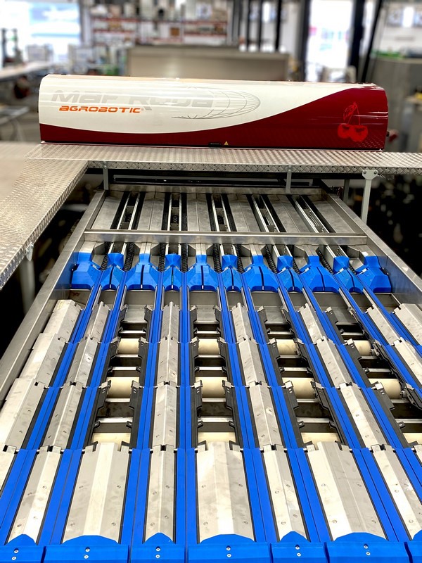 Maf Roda launches new cherry defect analysis system on the market