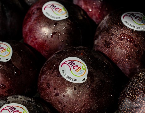 The 2021 season starts for Metis®, the plum and apricot hybrid