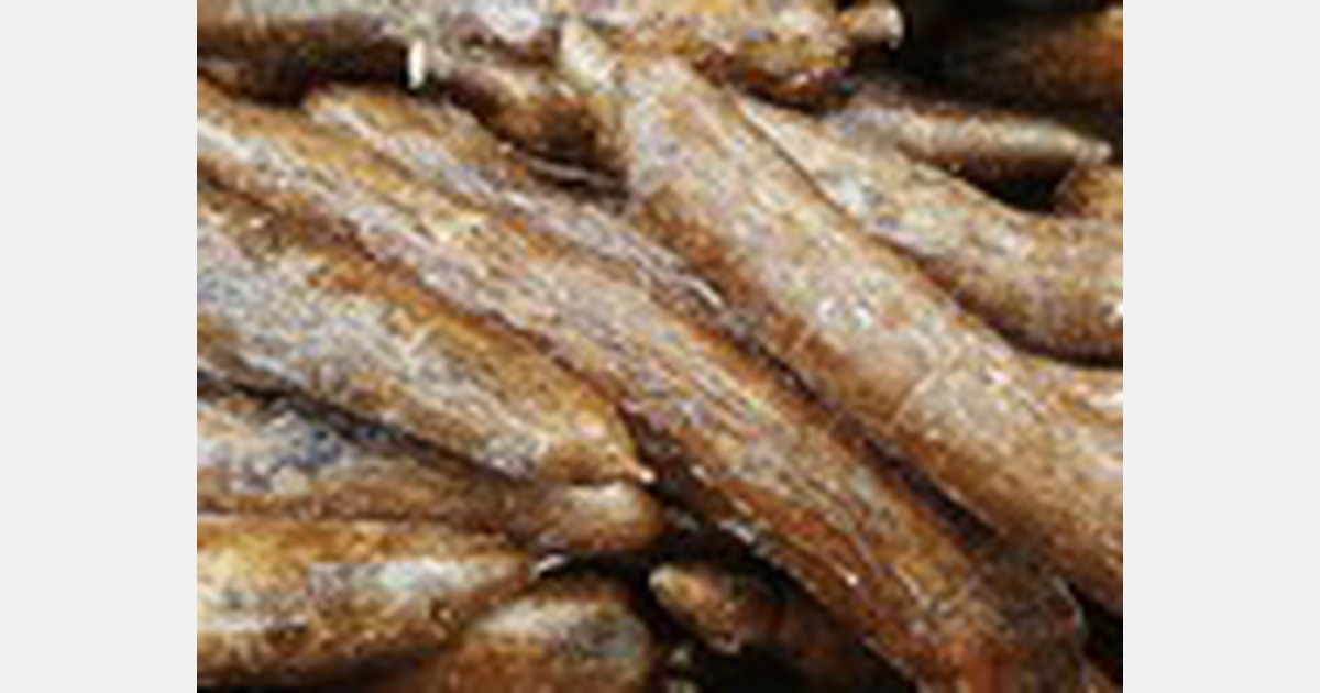 The Port of Algeciras rejects Costa Rican products treated with ...