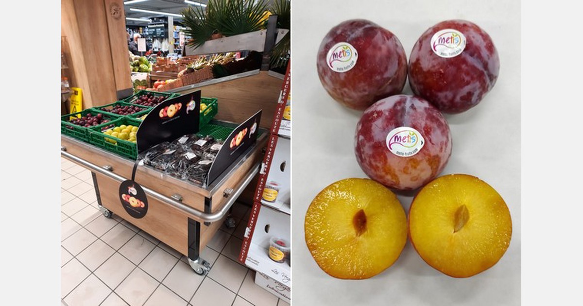 "Consumers trying the Metis appreciate the alternative approach to ...