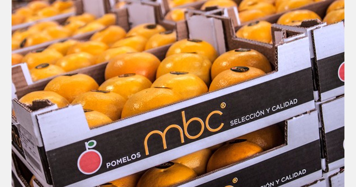 Higher and stable prices for Spanish grapefruit due to low market supply