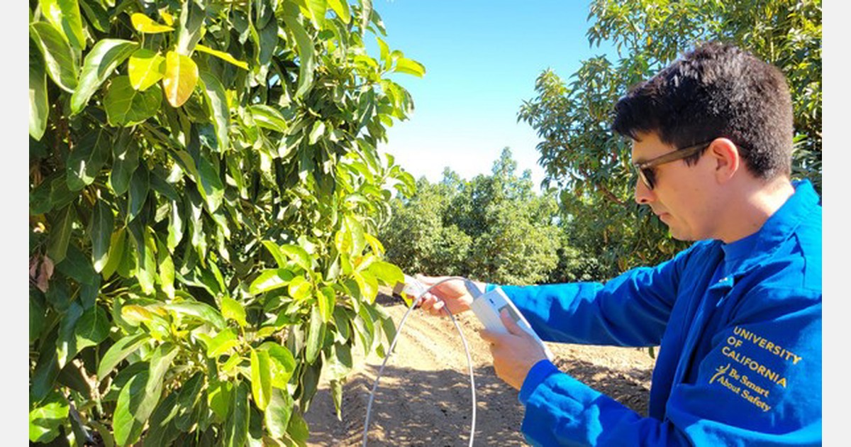 Eurosemillas will present Green Motion, the largest international ...