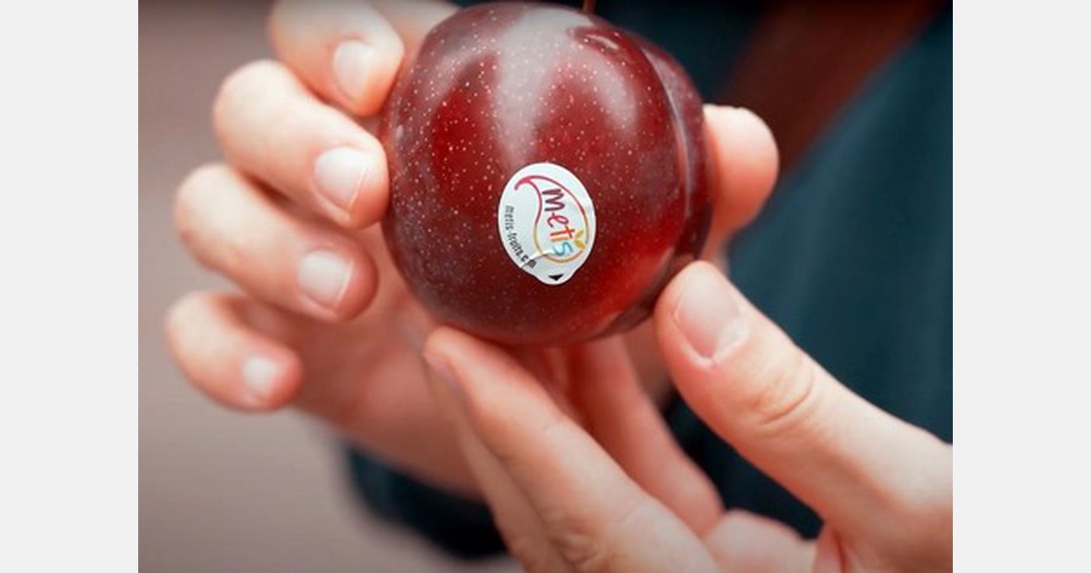 "Metis® is already a recognized premium alternative to traditional plums"