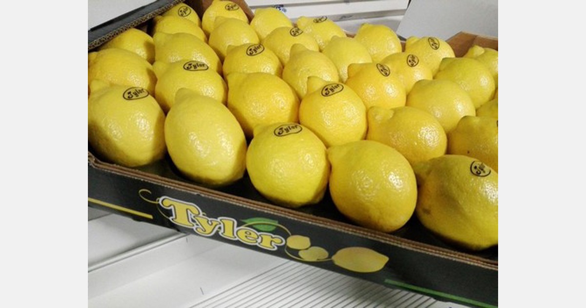 "Lemon prices are holding up only because the supply is more limited"