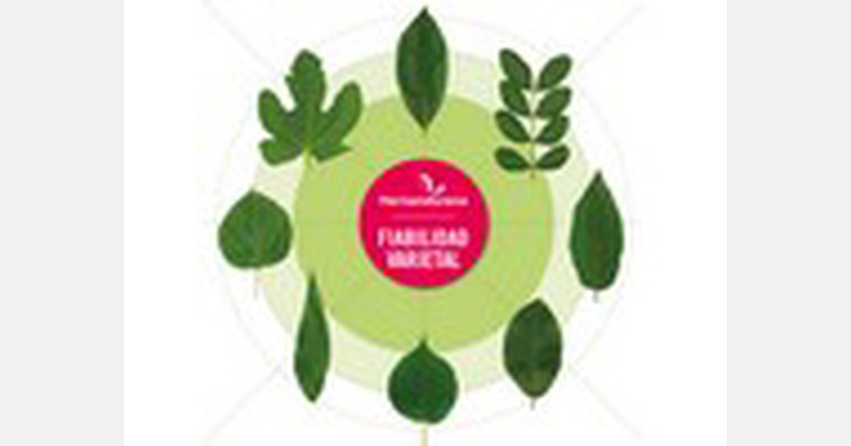 The only nursery authorized to market the Ribera Sun kaki plant will ...