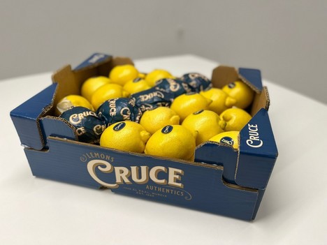 Spanish lemon season starts with a delay in fruit sizing due to drought