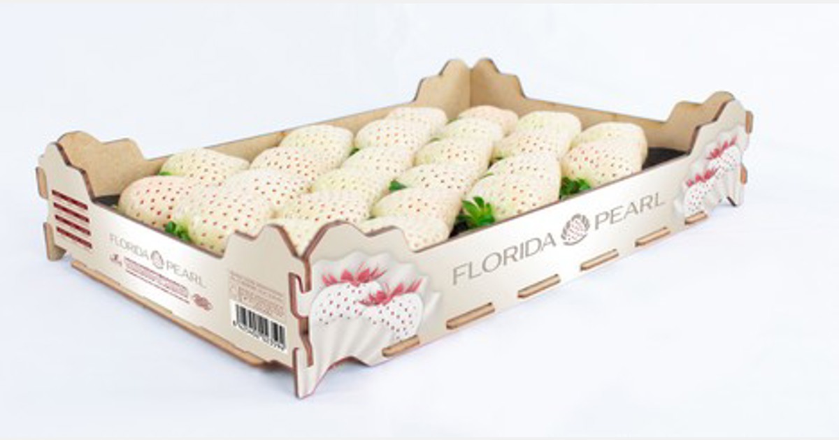 "This year, the Florida Pearl premium strawberry will reach the markets ...