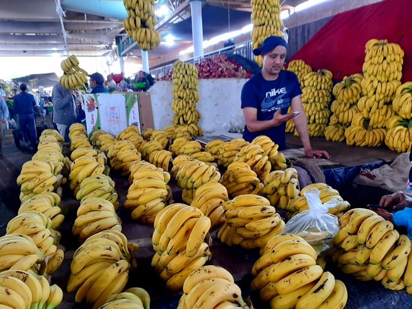 Agadir is Morocco's leading fruit and vegetable exporter