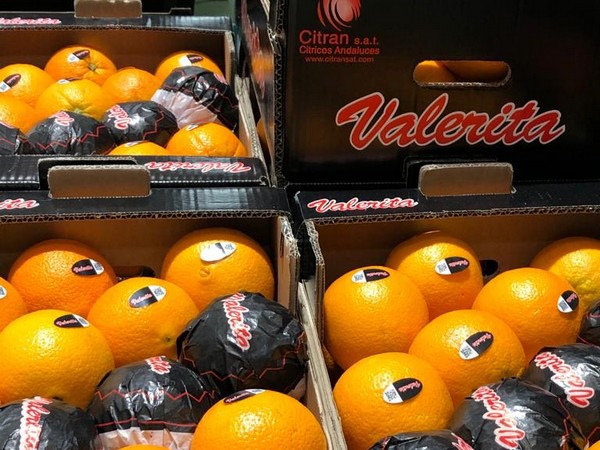 "When buying a Demeter orange, you're not just buying fruit, you're ...