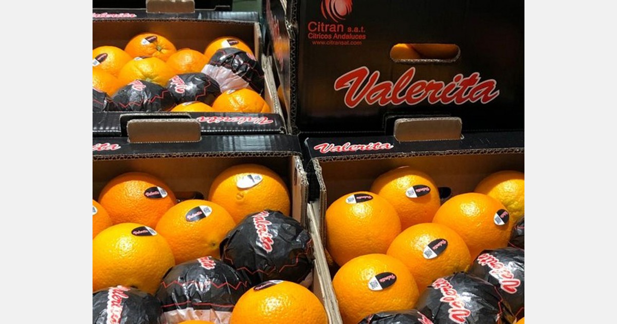 "When buying a Demeter orange, you're not just buying fruit, you're ...