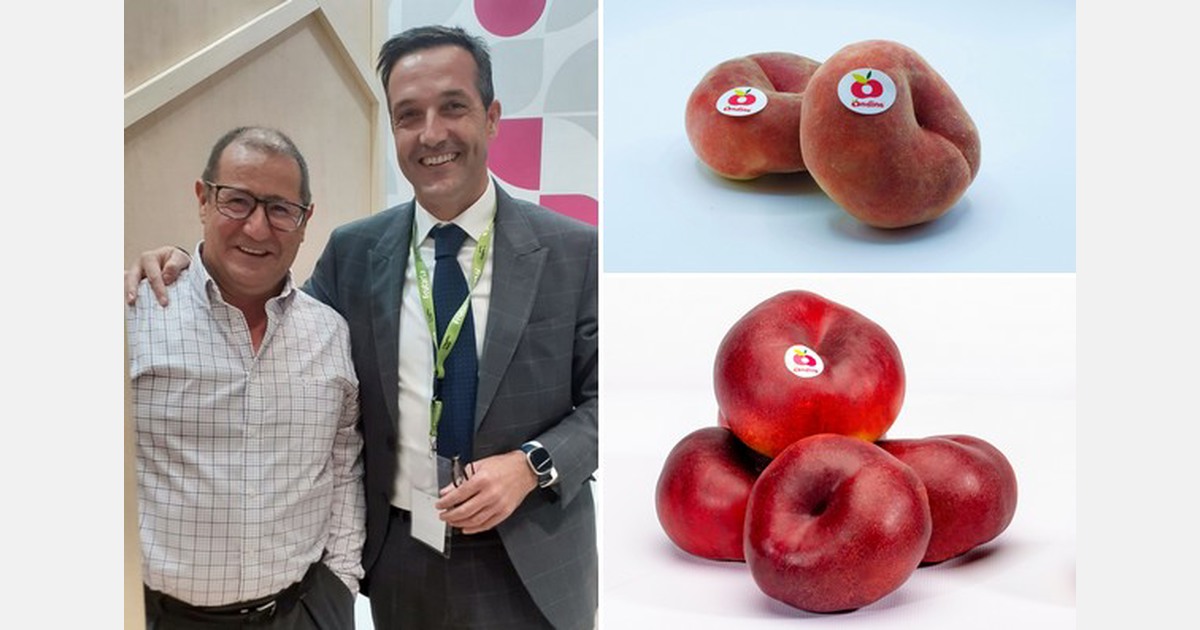 Campojara joins the Ondine club