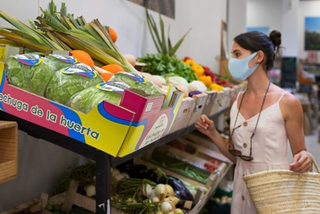 Primaflor launches "Iceberg de la huerta", a new format to prevent food ...