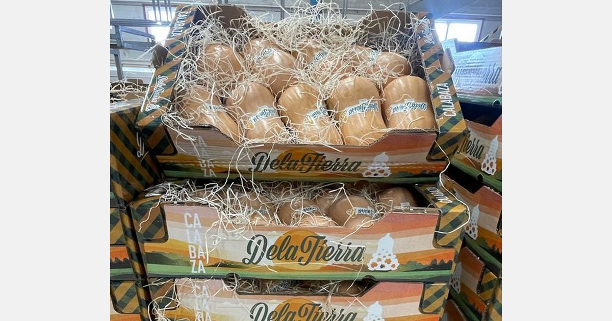 "This campaign has been very good so far in terms of prices for ...