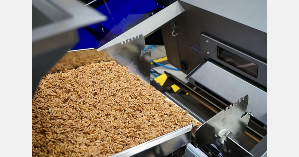 How nut processors can benefit from the latest sorting technologies