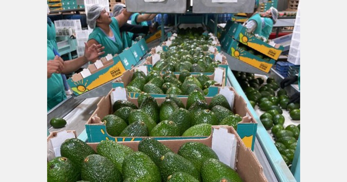 "Last week we received the first avocados from Peru. We expect to bring ...