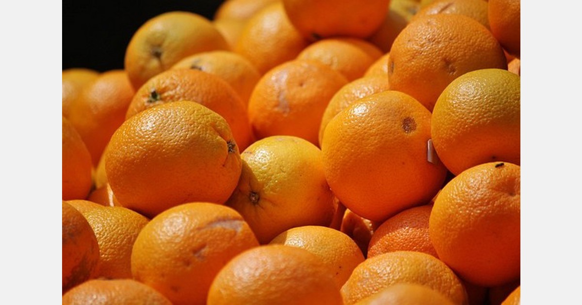 Volume of oranges imported by the EU skyrocketed by 76.6% in January ...