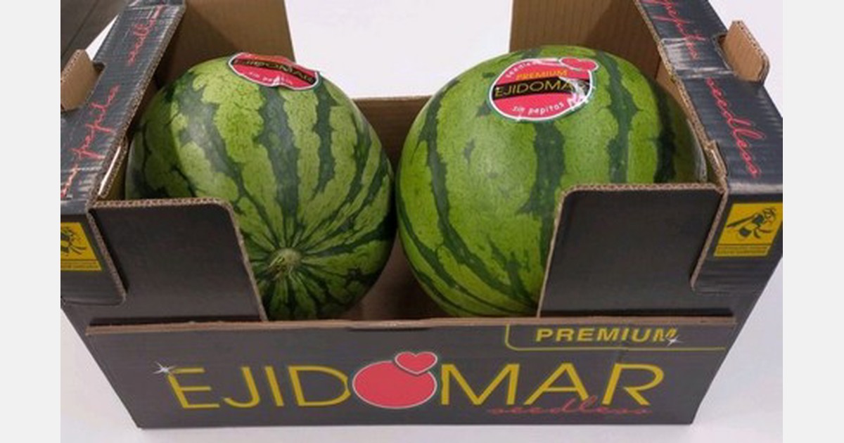 Watermelon supply continues to increase but prices are falling because ...