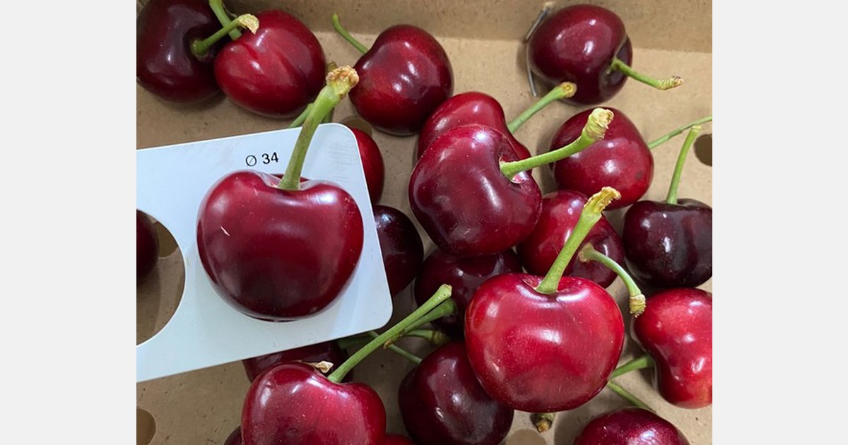 "In Europe we are in the middle of a very important leap in the quality ...