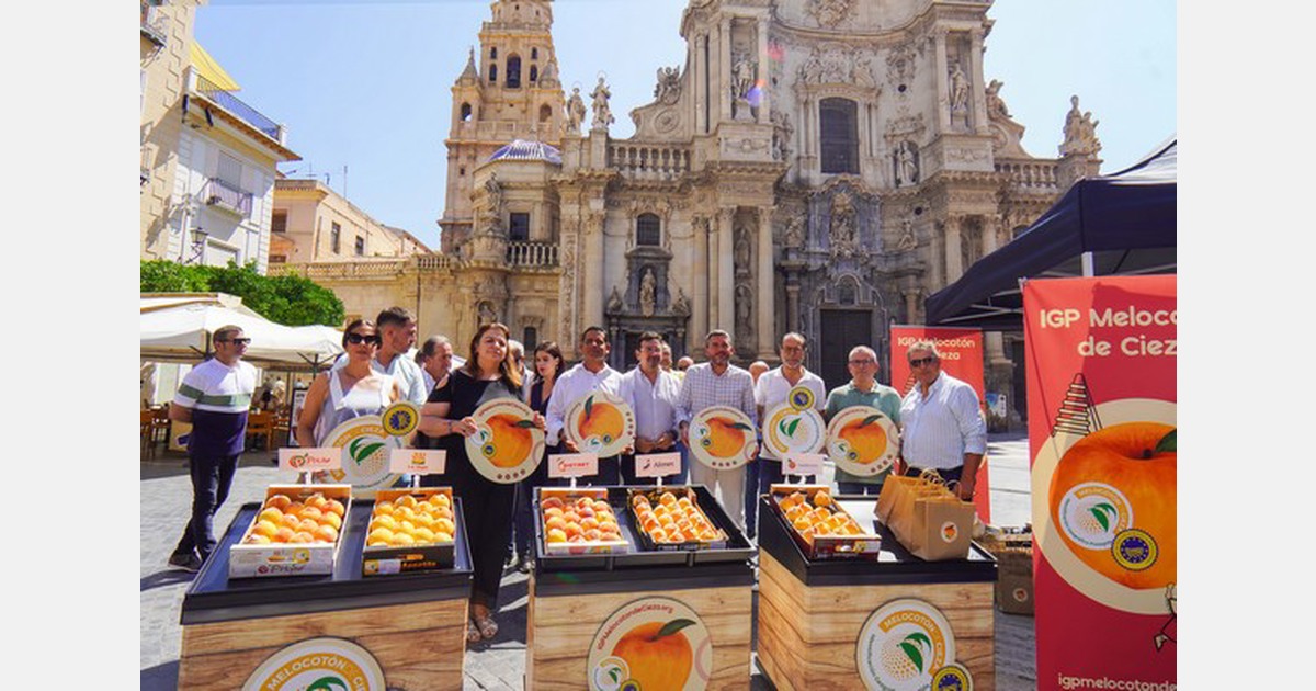 The PGI Melocotón de Cieza's peach campaign has started