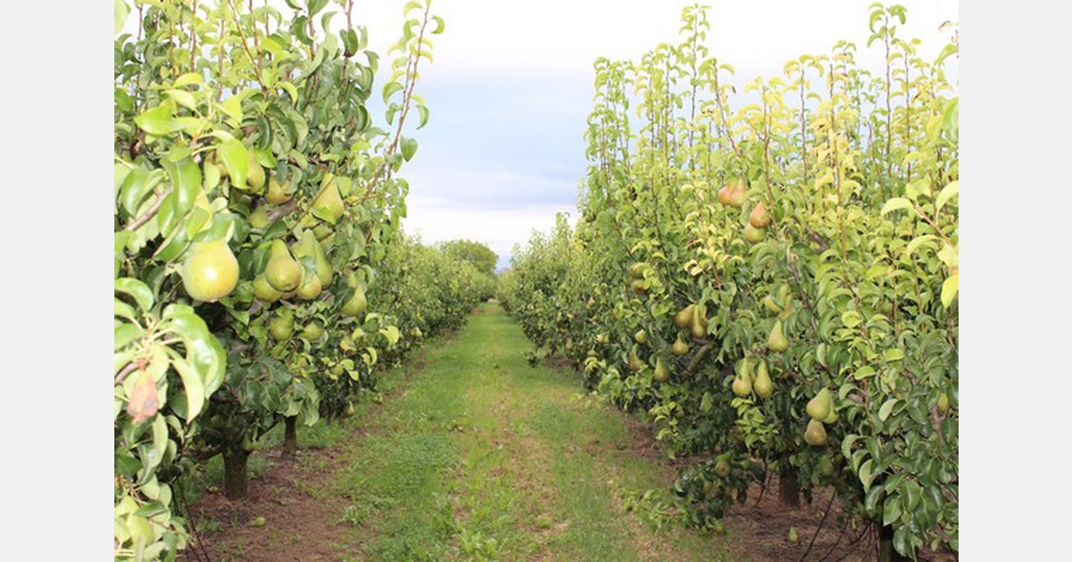 "The storms have caused damage to various extents to 150 of our 250 ...