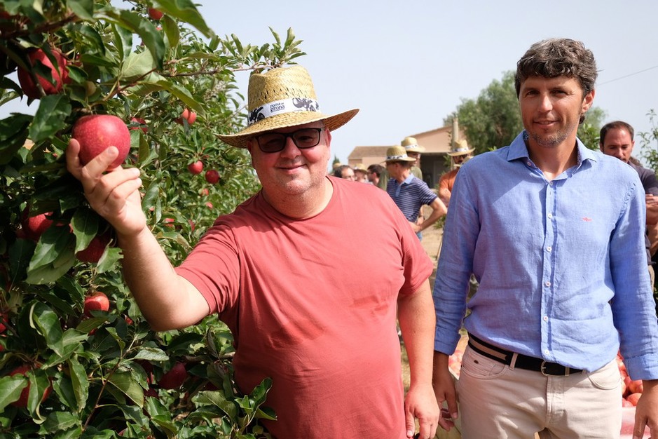 Poma de Girona expects the third largest apple harvest of the last ...