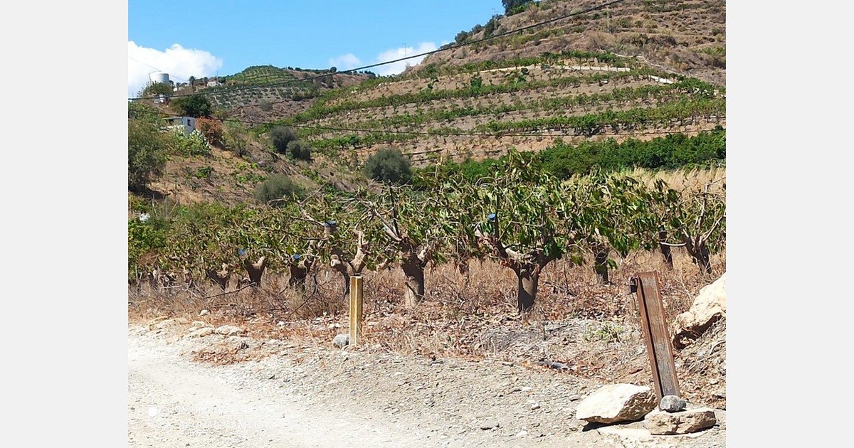 “How is such passivity by the administrations possible in the face of ...