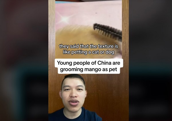 “I love you, my precious mango pit”