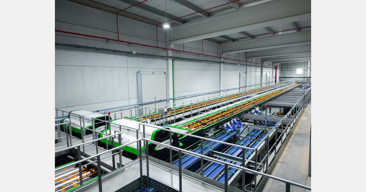 Maf Roda has created a new and revolutionary software to analyze the quality of citrus fruits