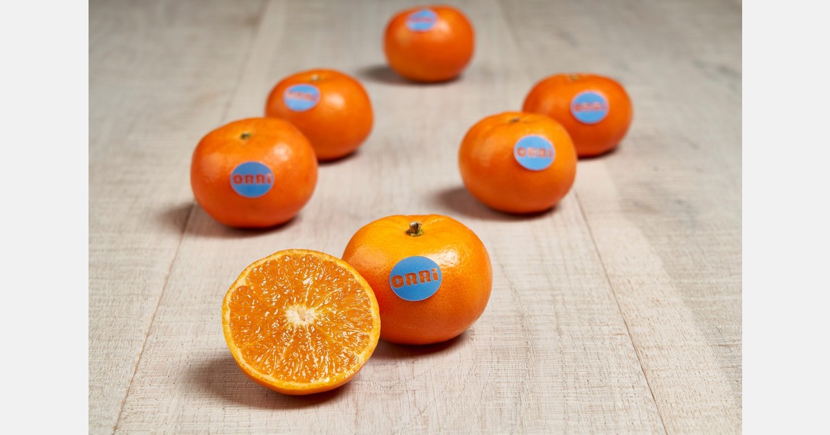 Spanish Orri mandarin production will be 30% greater than last year
