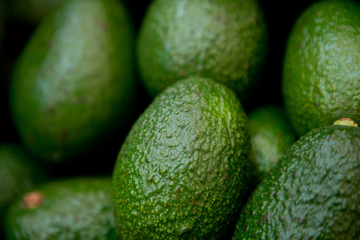 Peru now has 32,000 hectares devoted to the cultivation of Hass avocados