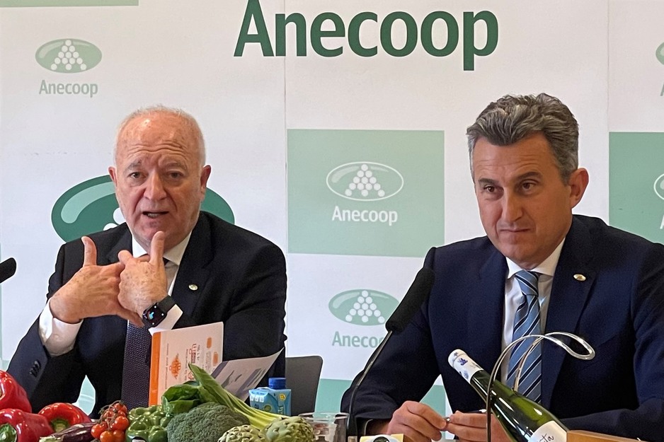 Anecoop increases its turnover by 2.7% despite 14.3% decrease in volume marketed