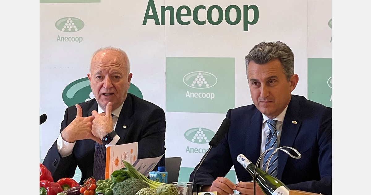 Anecoop increases its turnover by 2.7% despite 14.3% decrease in volume marketed