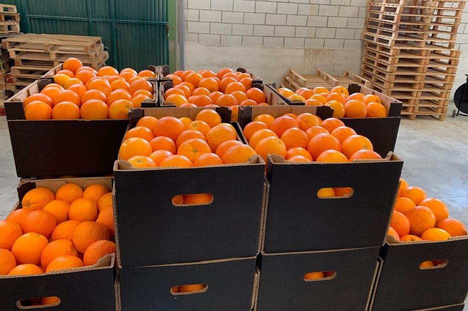 "Our location has ensured that we have faced neither drought issues nor ...