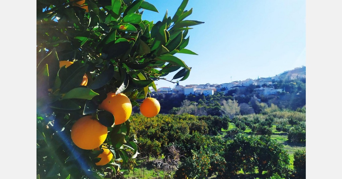 "Our location has ensured that we have faced neither drought issues nor ...