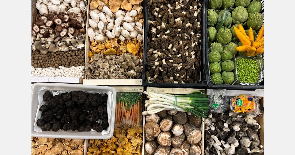 "Due to climate change, we have a broader and more uneven playing field ...