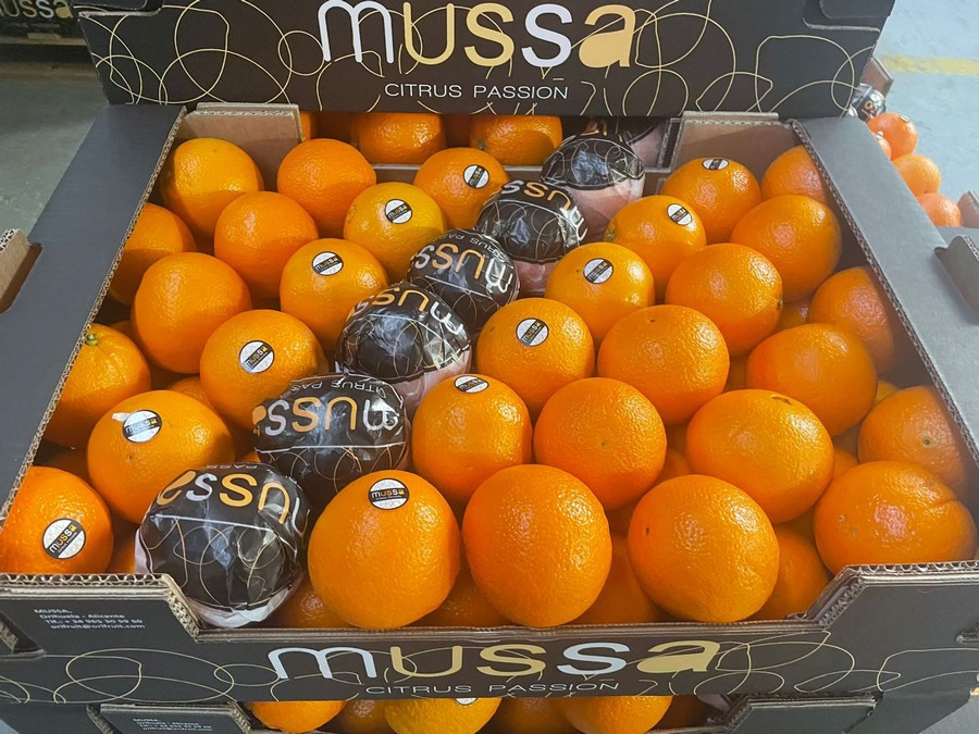 "Spanish oranges are highly appreciated in the European market. They ...