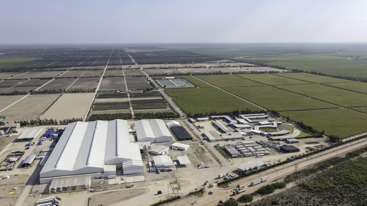 With operations in Peru, Mexico and Morocco, Agrovision Corp. aims to ...