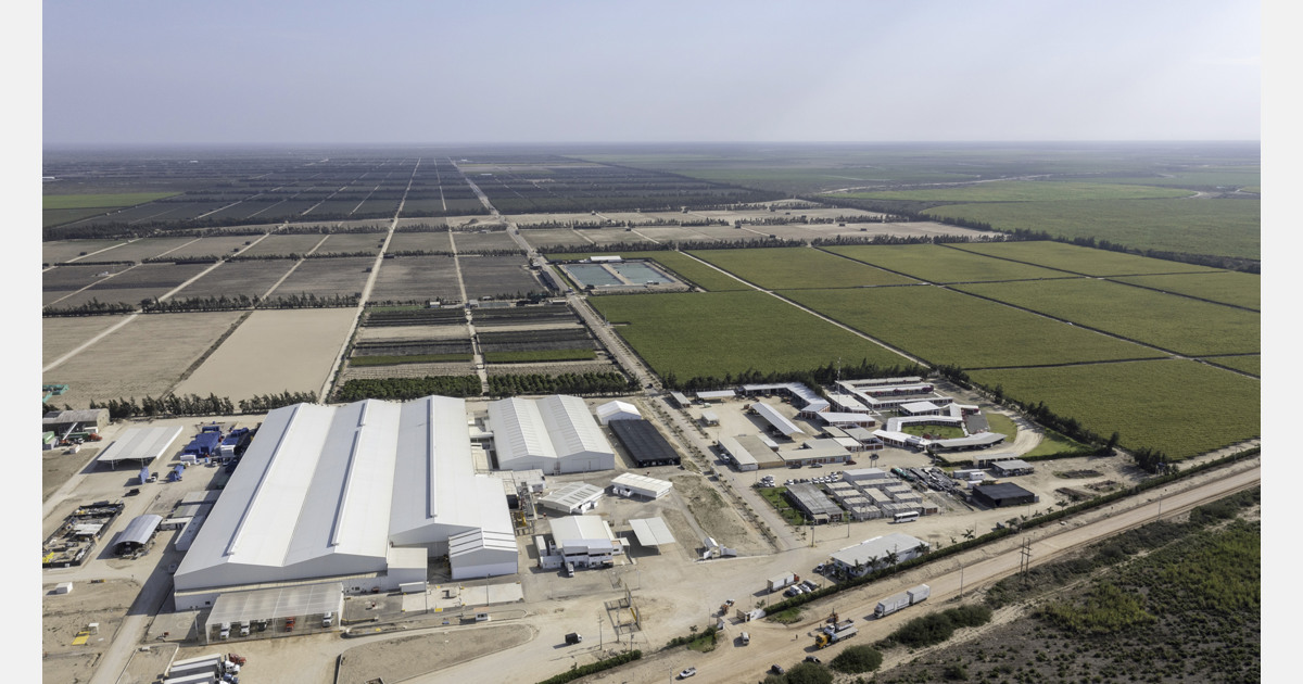 With operations in Peru, Mexico and Morocco, Agrovision Corp. aims to ...