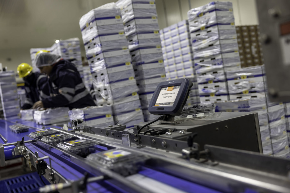 With operations in Peru, Mexico and Morocco, Agrovision Corp. aims to ...