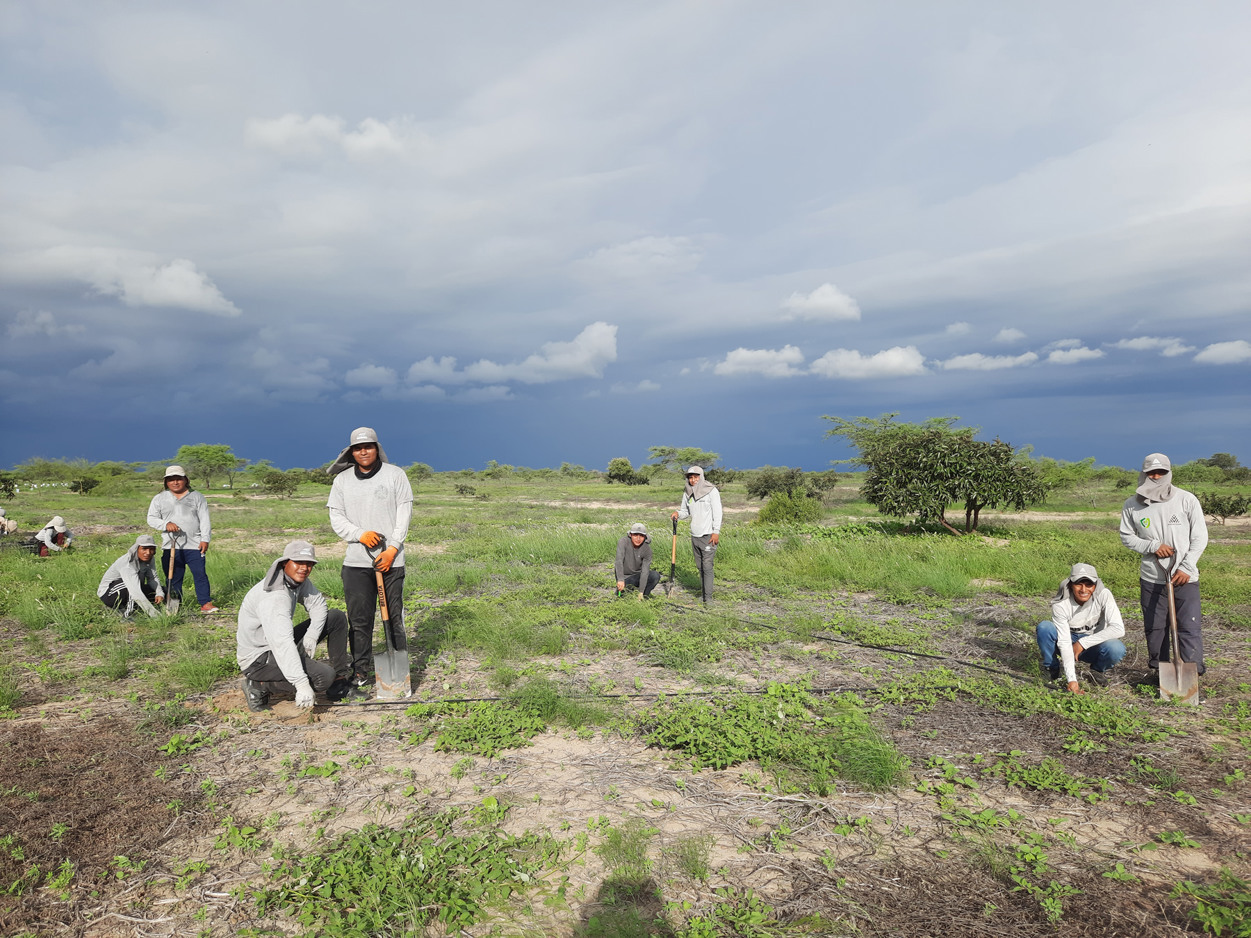 With operations in Peru, Mexico and Morocco, Agrovision Corp. aims to ...