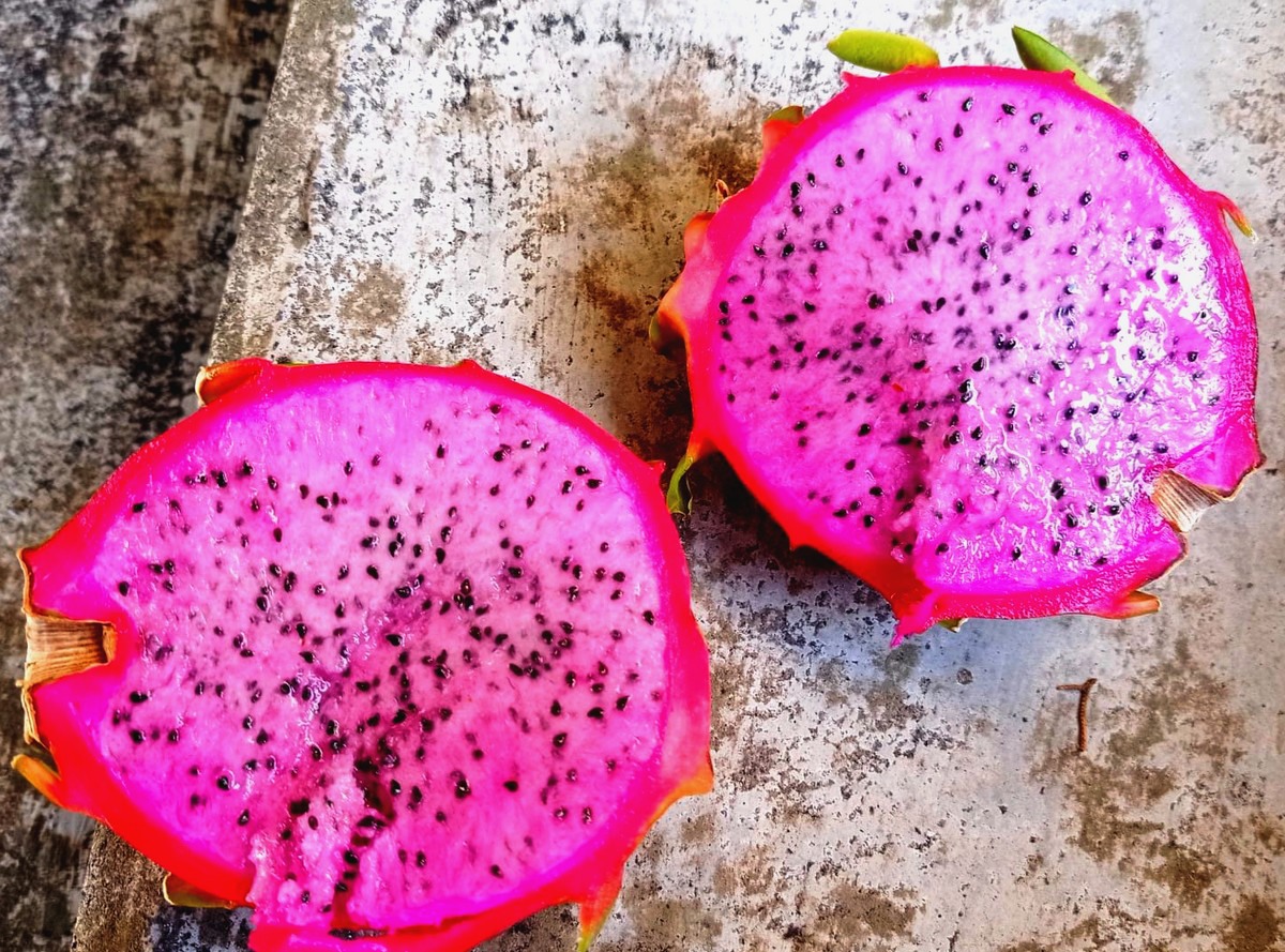 "We are shipping 90% of our pitaya production to the Czech Republic"