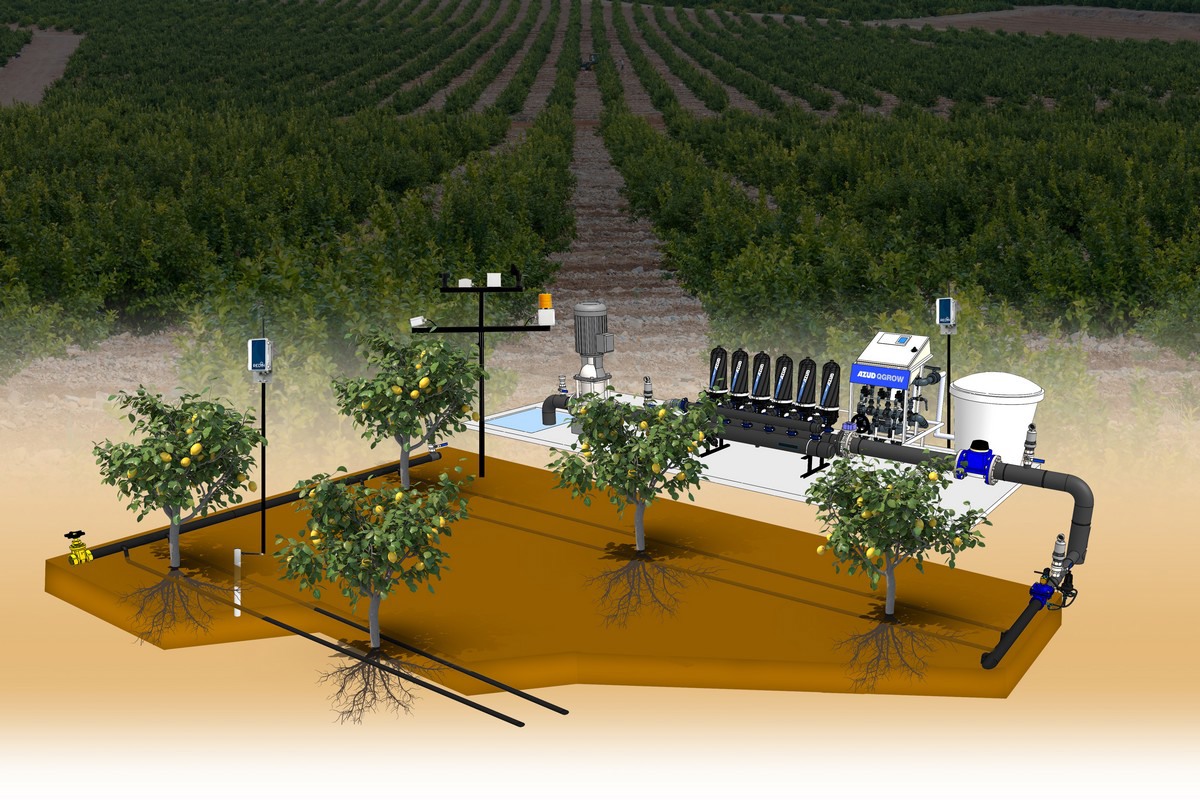 "Underground drip irrigation can radically transform citrus agriculture"