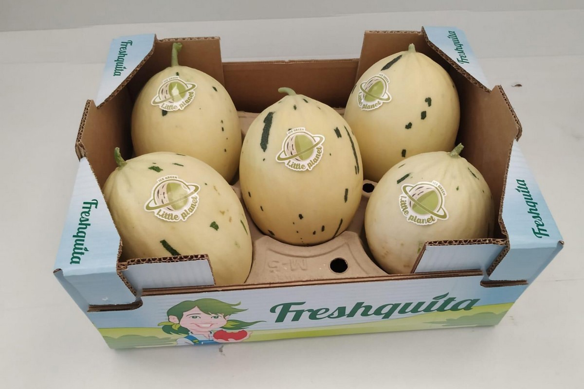 "This year, we expanded the area devoted to the cultivation of Little Planet melons from 5 to 50 ...