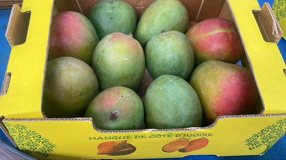 "We have launched operations in Ivory Coast together with the country's ...