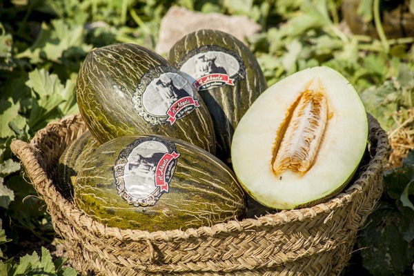 El Abuelo and Agricola Famosa join forces to offer melons and ...