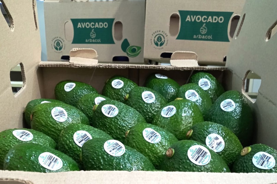 "The global avocado industry is facing major pressures due to ...