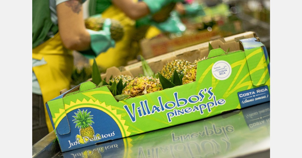Costa Rica's pineapple boom