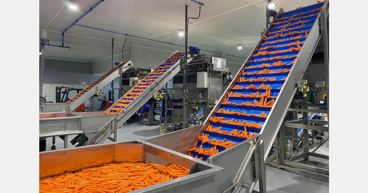 "We have increased our carrot exports by more than 200%"