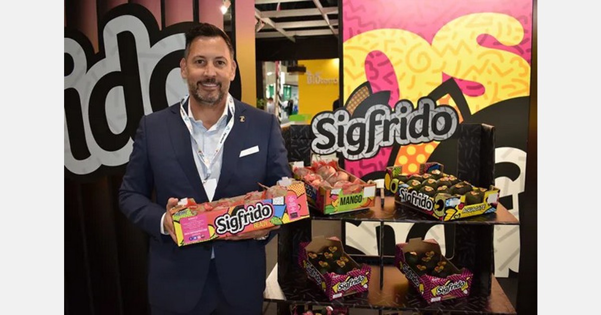 "Spanish mangoes are on the market again, fetching very high prices due ...